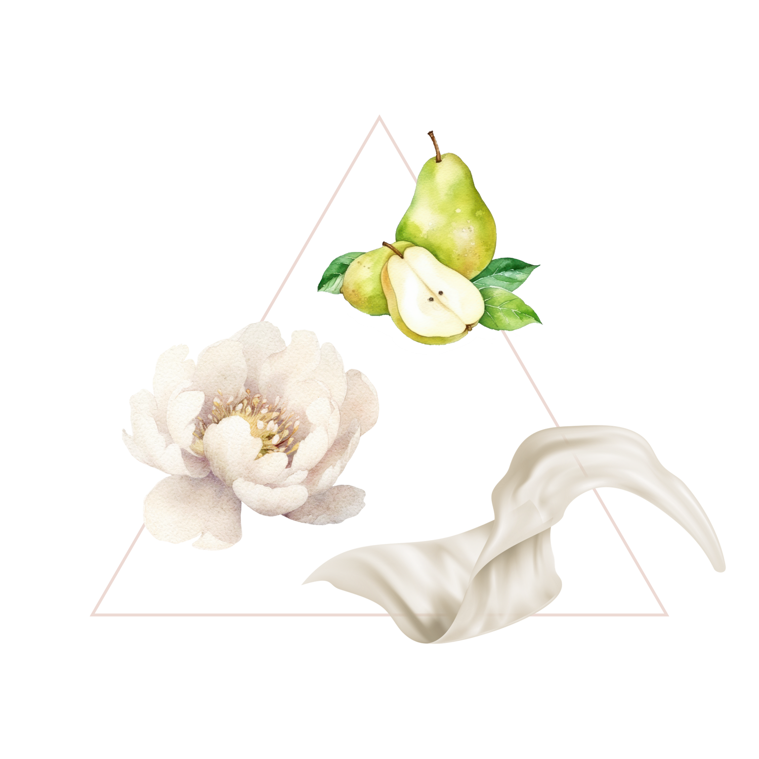 Velvet Pear + Sheer Musk Fragrance Oil for Candle and Soap Making ...