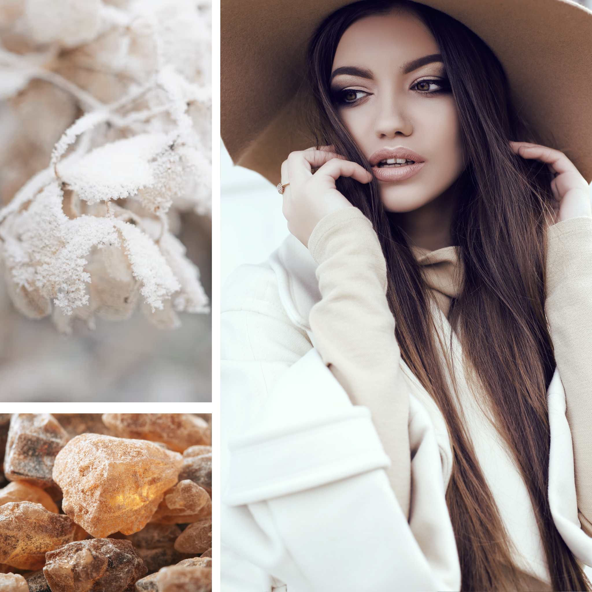 Winter Musk Fragrance Oil – Scentsorie