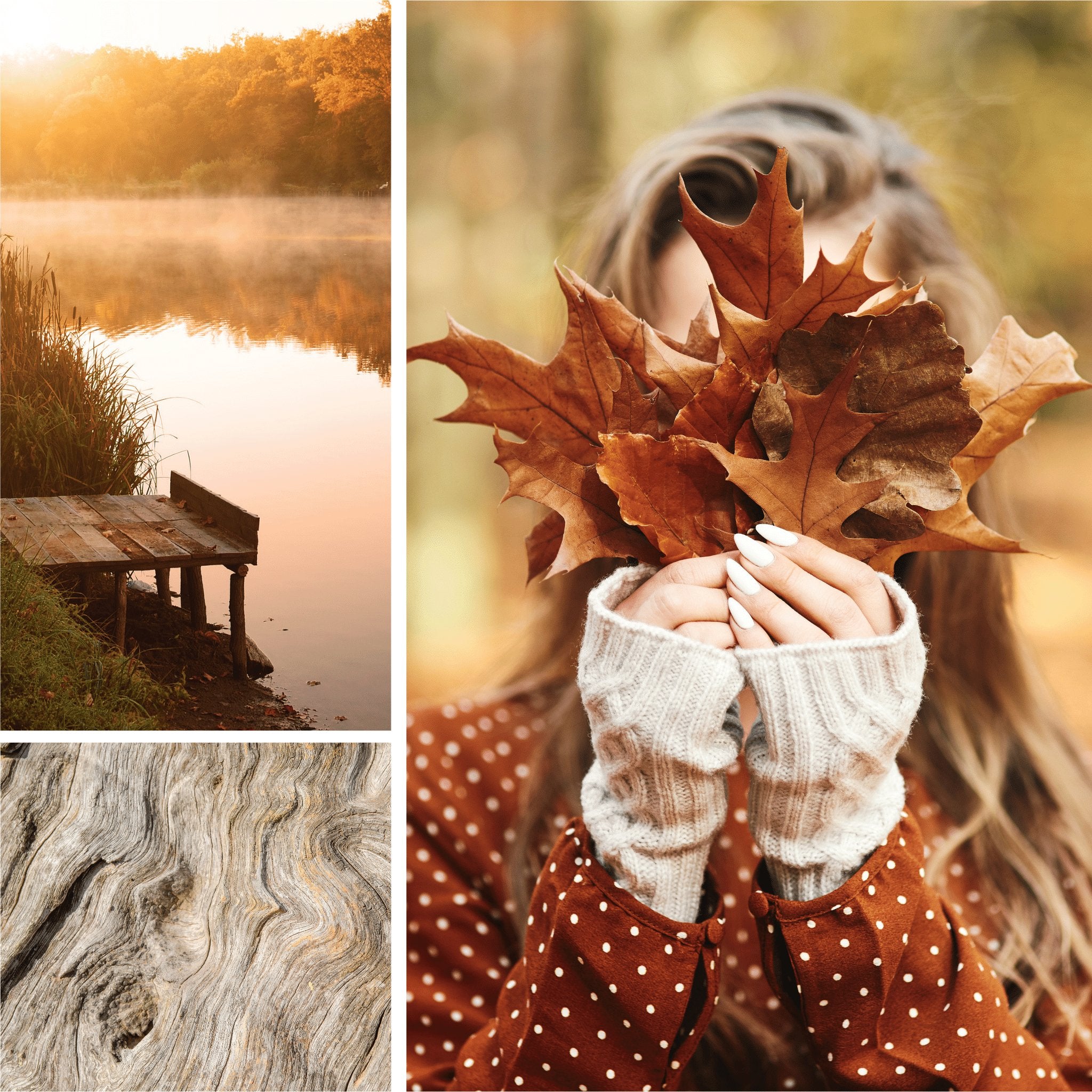 Falling Leaves + Autumn Air Fragrance Oil l Scentsorie – Scentsorie