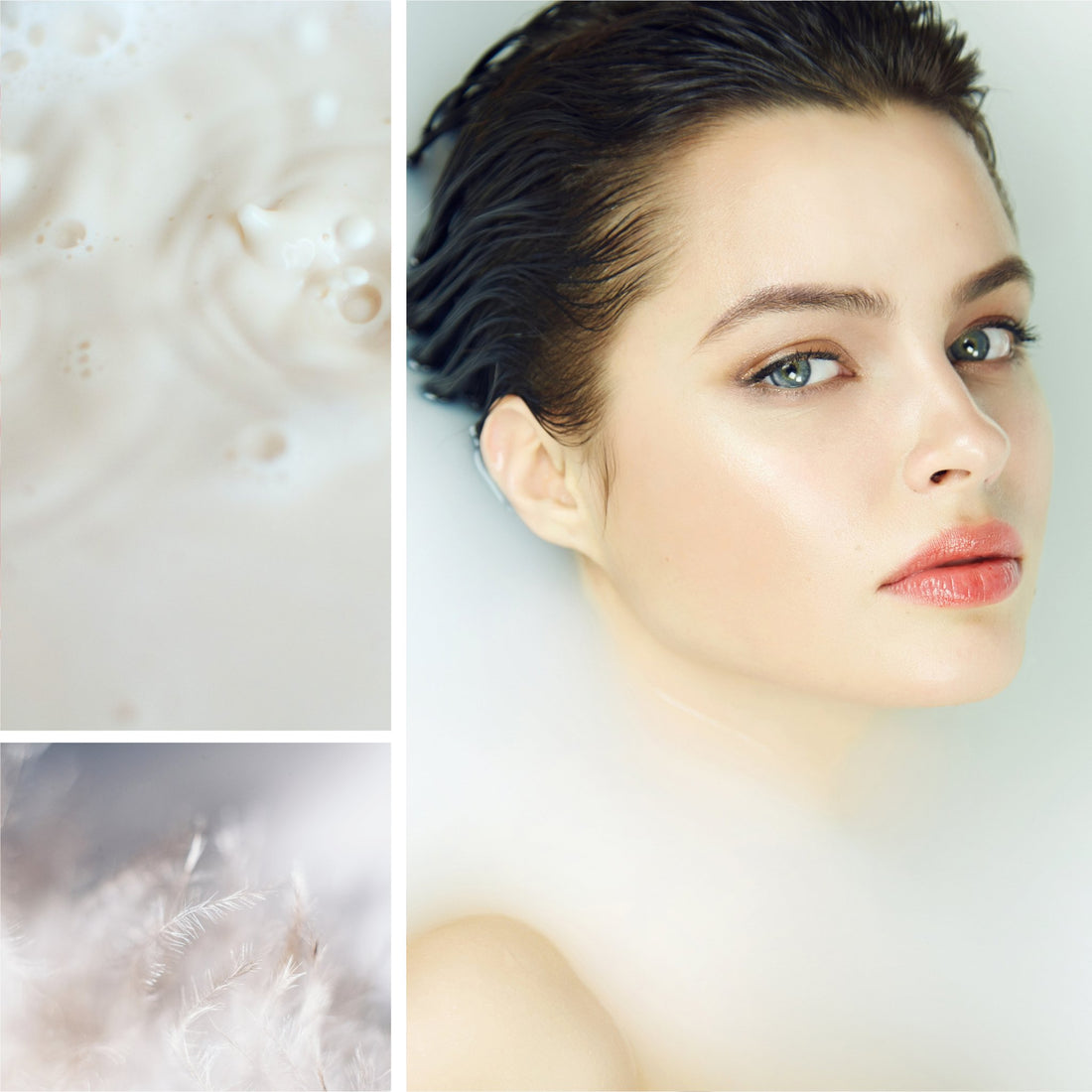 Milk Musk Fragrance Oil l Scentsorie – Scentsorie