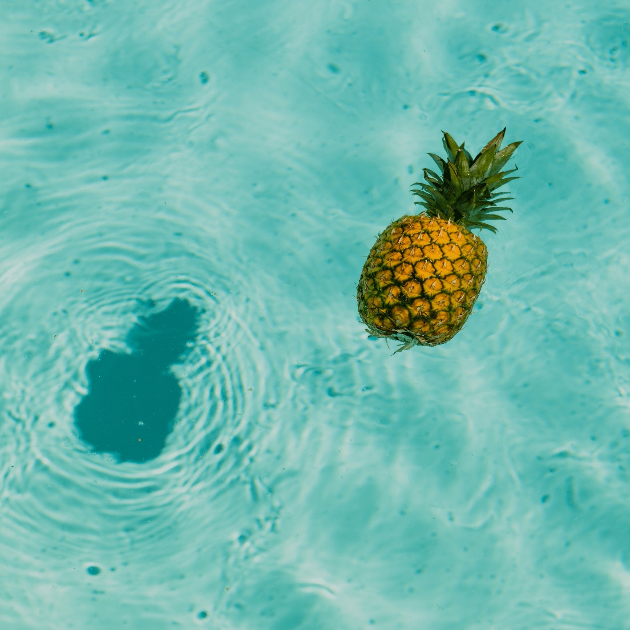Pineapple + Plumeria Fragrance Oil – Scentsorie