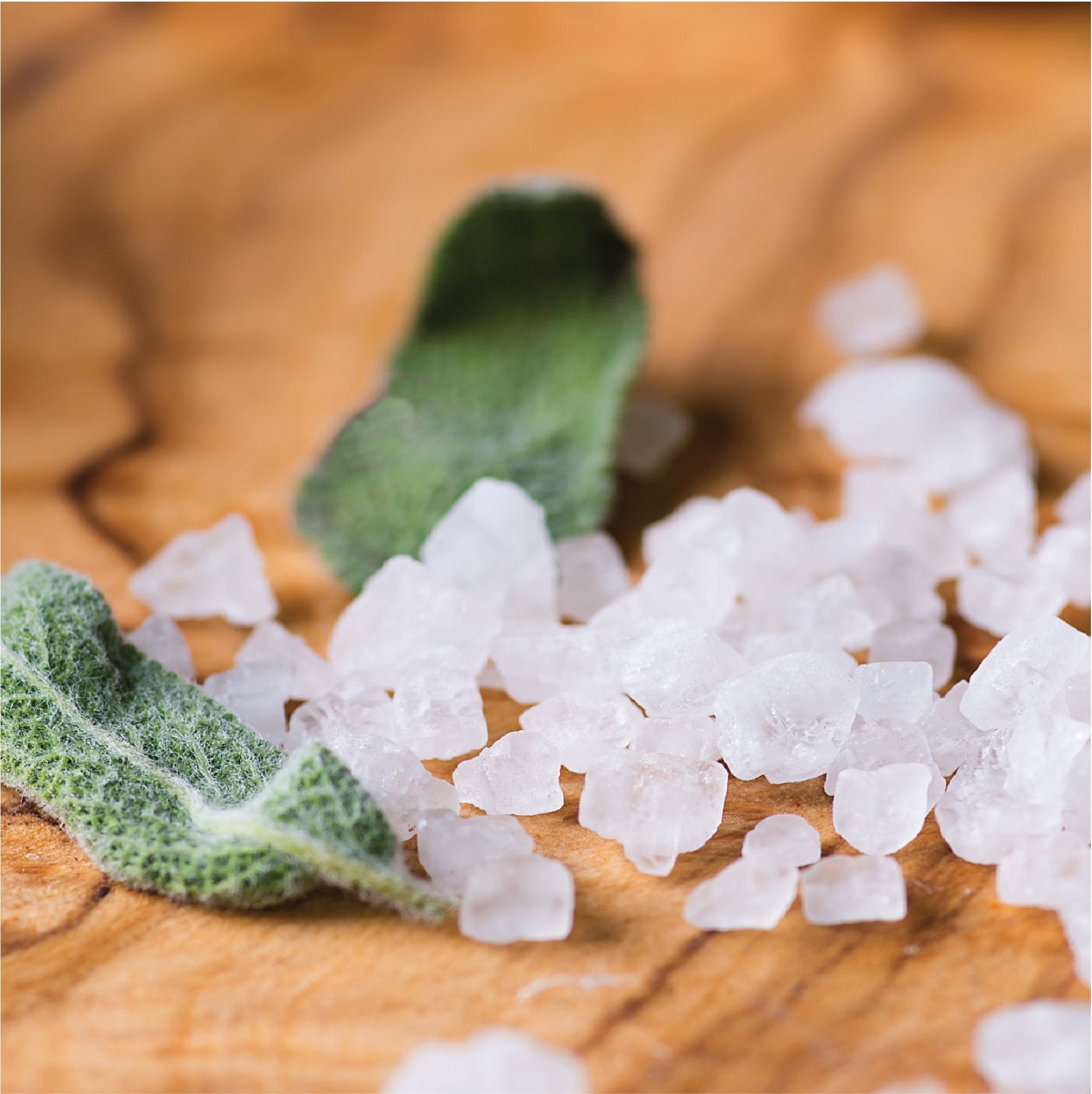 Sea Salt + Guaiacwood Fragrance Oil for Candle and Soap Making – Scentsorie