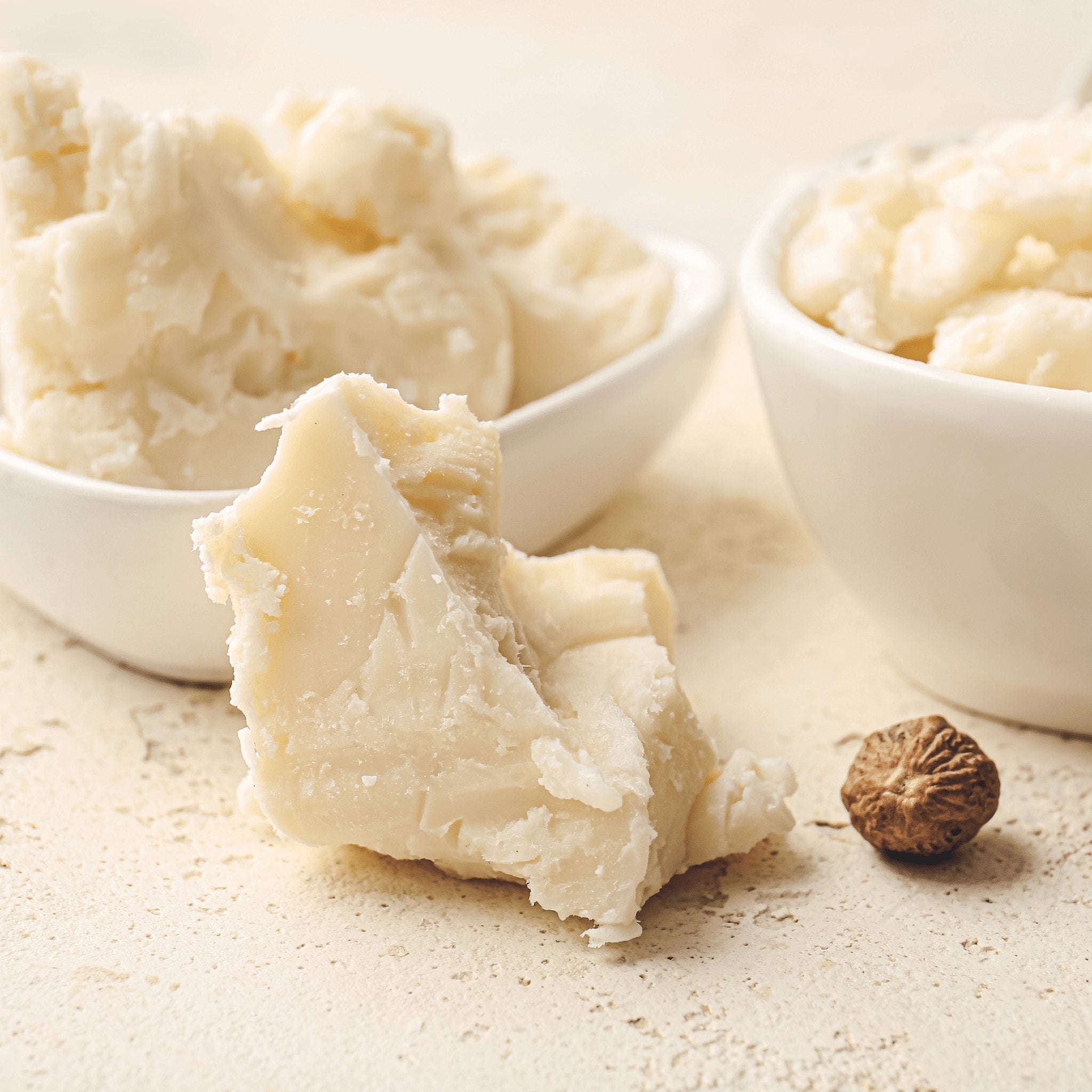 Shea Butter + Coconut I Fragrance Oil – Scentsorie