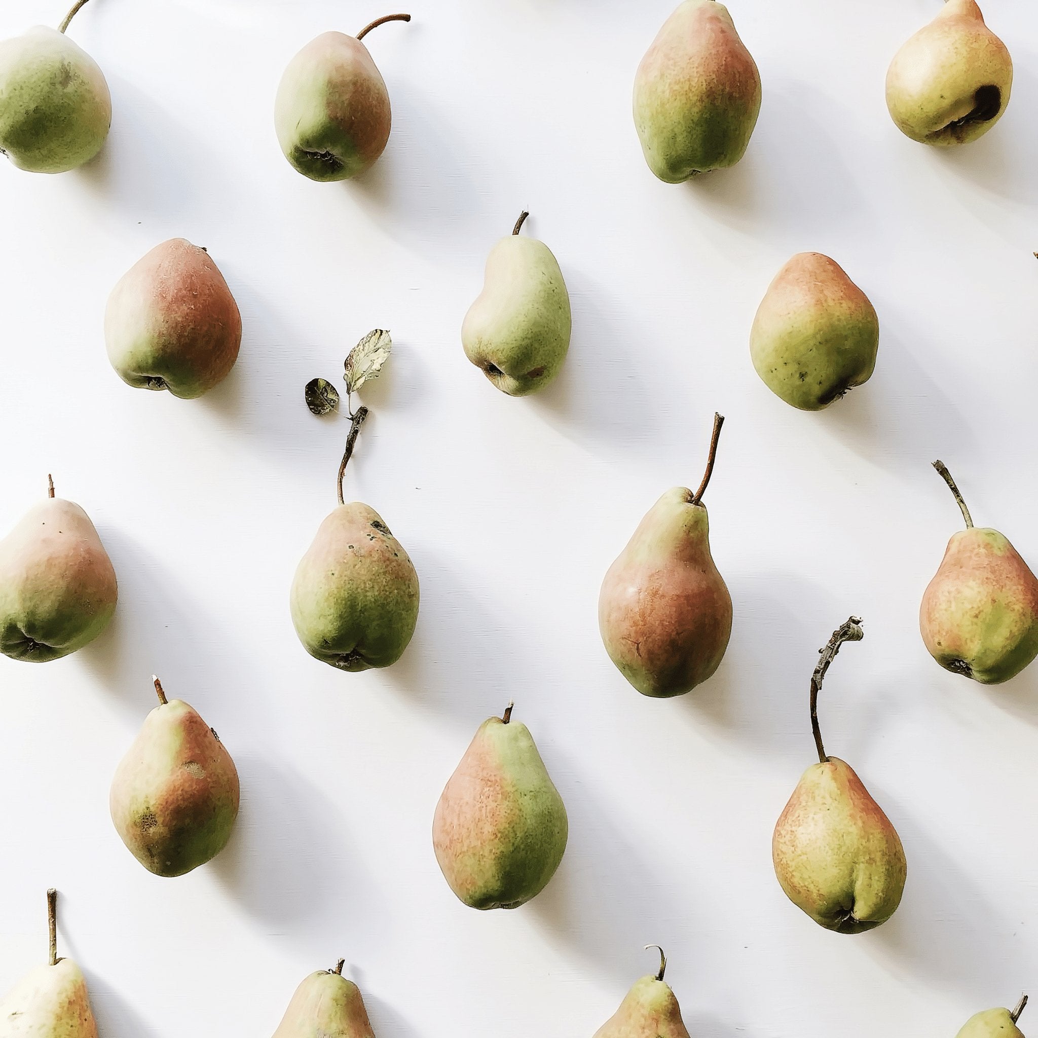 Velvet Pear + Sheer Musk Fragrance Oil for Candle and Soap Making ...