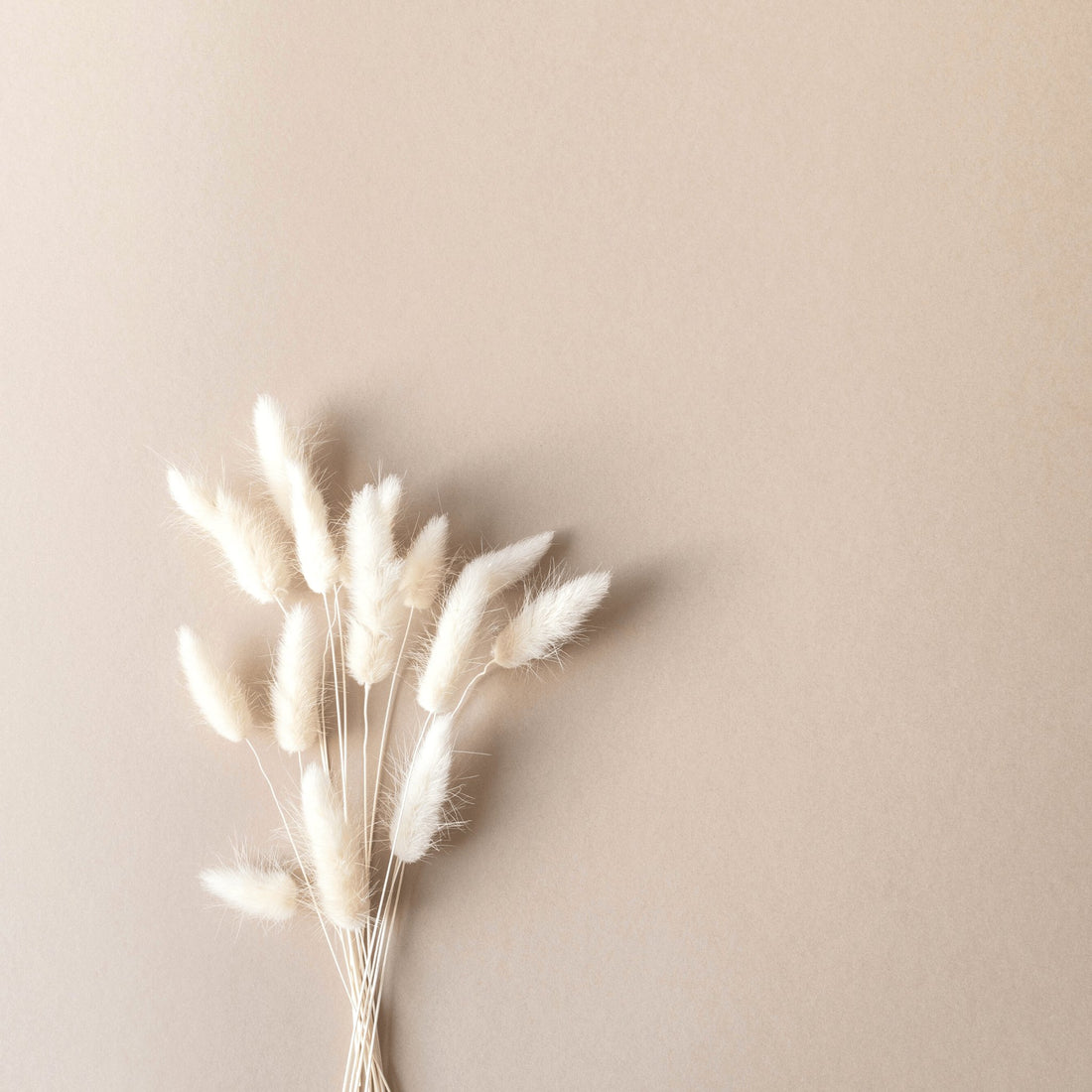 Wildflowers + Agave Fragrance Oil for Candle and Soap Making – Scentsorie